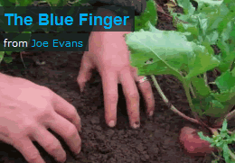 Together4Bristol : The Blue Finger Alliance vision...